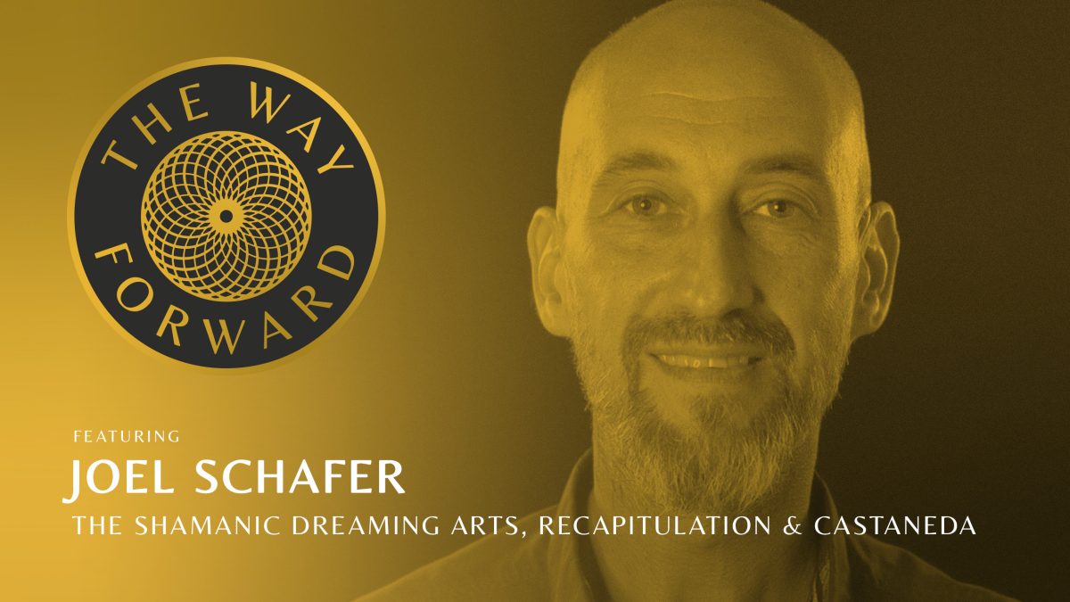 The Shamanic Dreaming Arts, Recapitulation & Castaneda featuring Joel ...