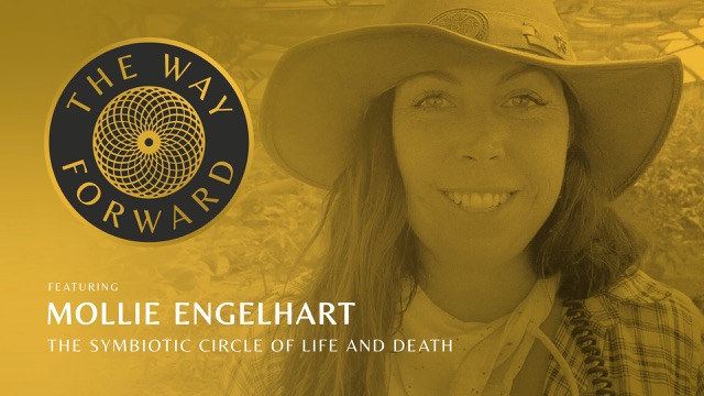 The Symbiotic Circle of Life and Death with Mollie Engelhart - The Way ...