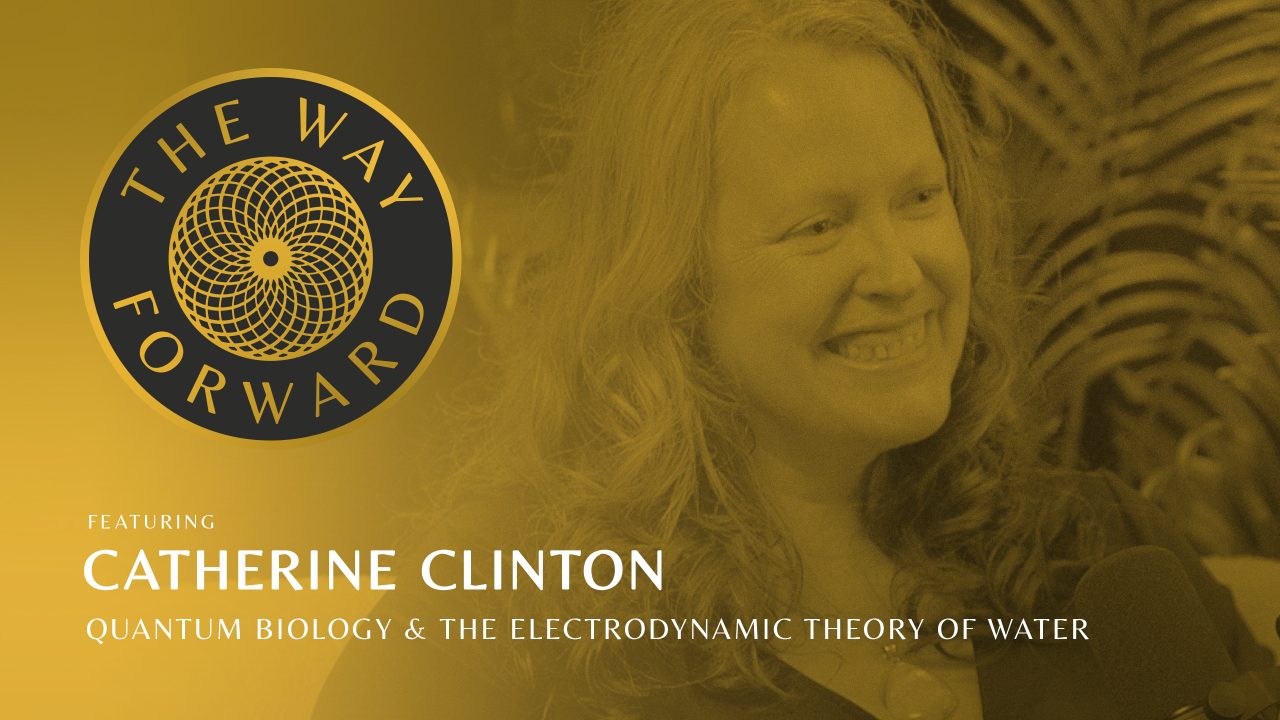Ep 170. Quantum Biology & The Electrodynamic Theory of Water with Dr ...